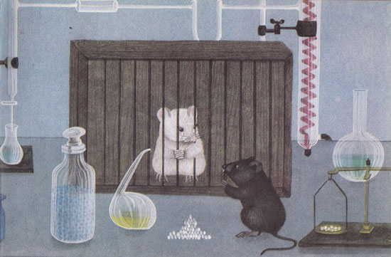 The mice far from home: Lliane Roels | Masha du Toit